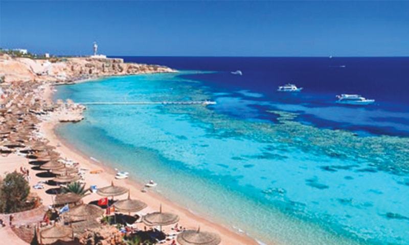 1 settimana all inclusive Hilton Sharm el Sheikh da 325€ volo compreso ...